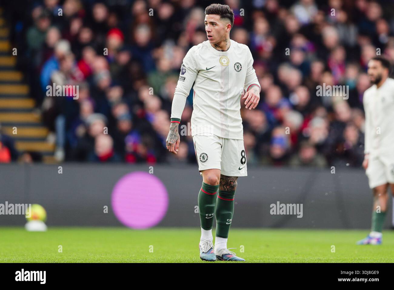 Enzo Fernandez (8 Chelsea) during the Premier League game between ...