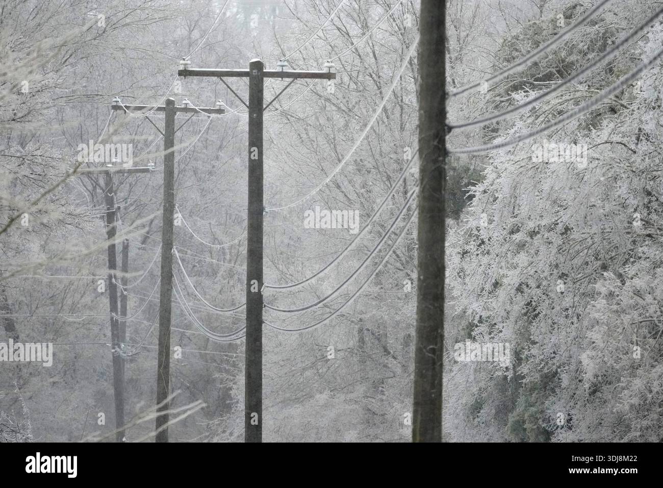 Power lines covered with ice are seen during a winter storm Sunday, Jan ...
