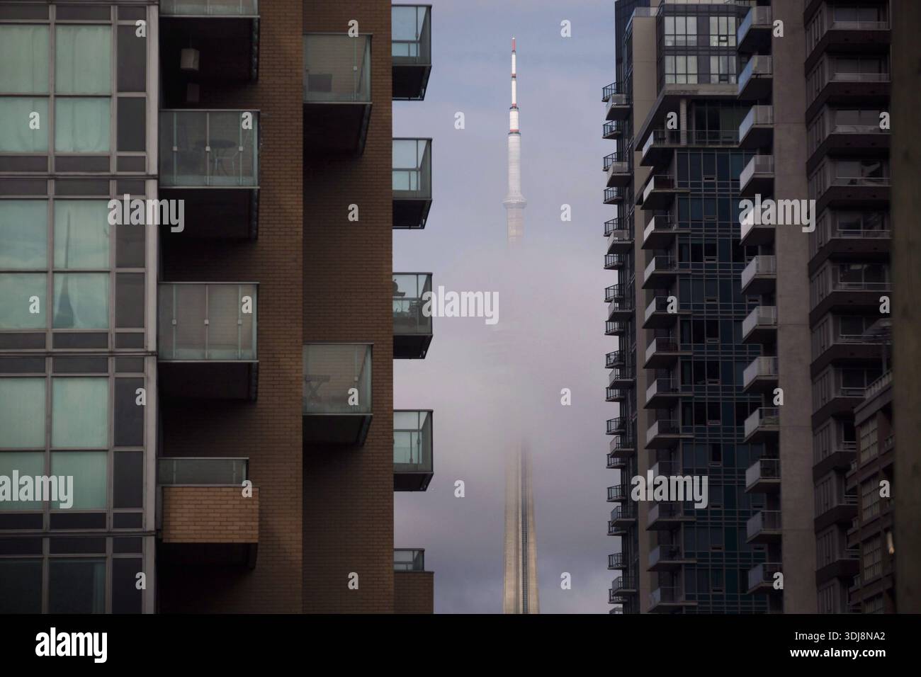 The CN Tower can be seen behind condos in Toronto's Liberty Village ...