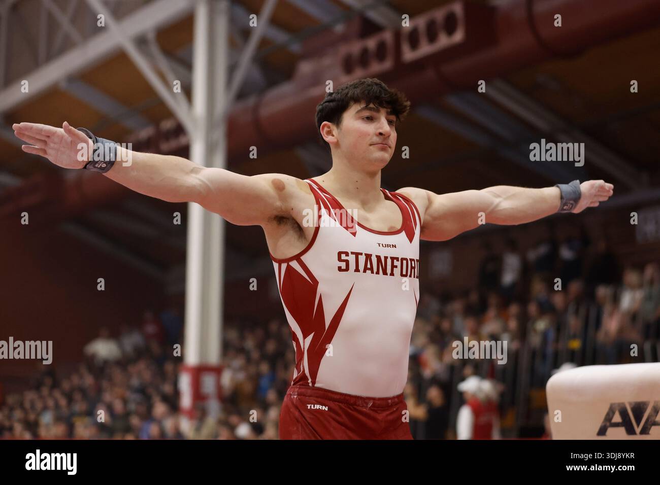 Stanford gymnast Zachary Green competes on the pommel horse during an ...