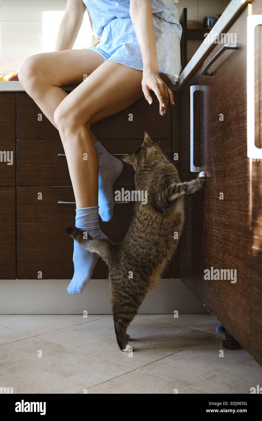 Young unrecognizable woman sits down hi-res stock photography and ...