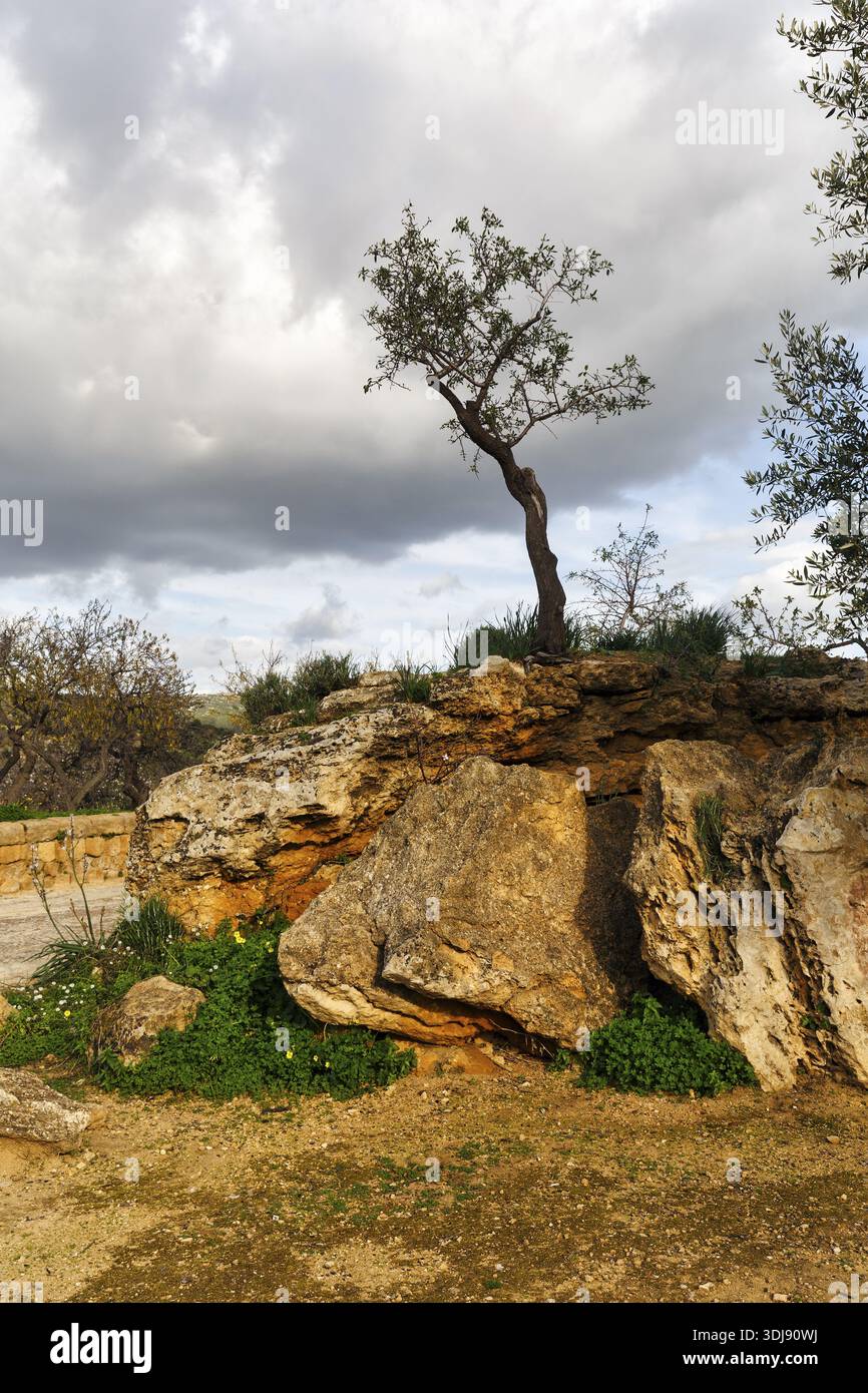 Valley of temp hi-res stock photography and images - Alamy