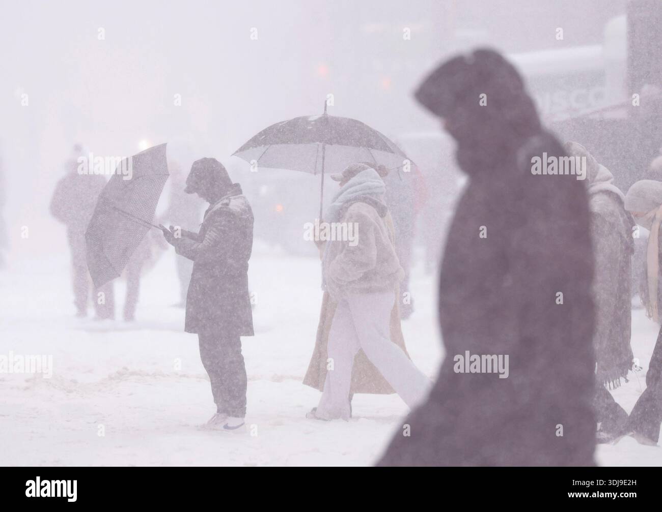 25 january 2026 new hi-res stock photography and images - Alamy