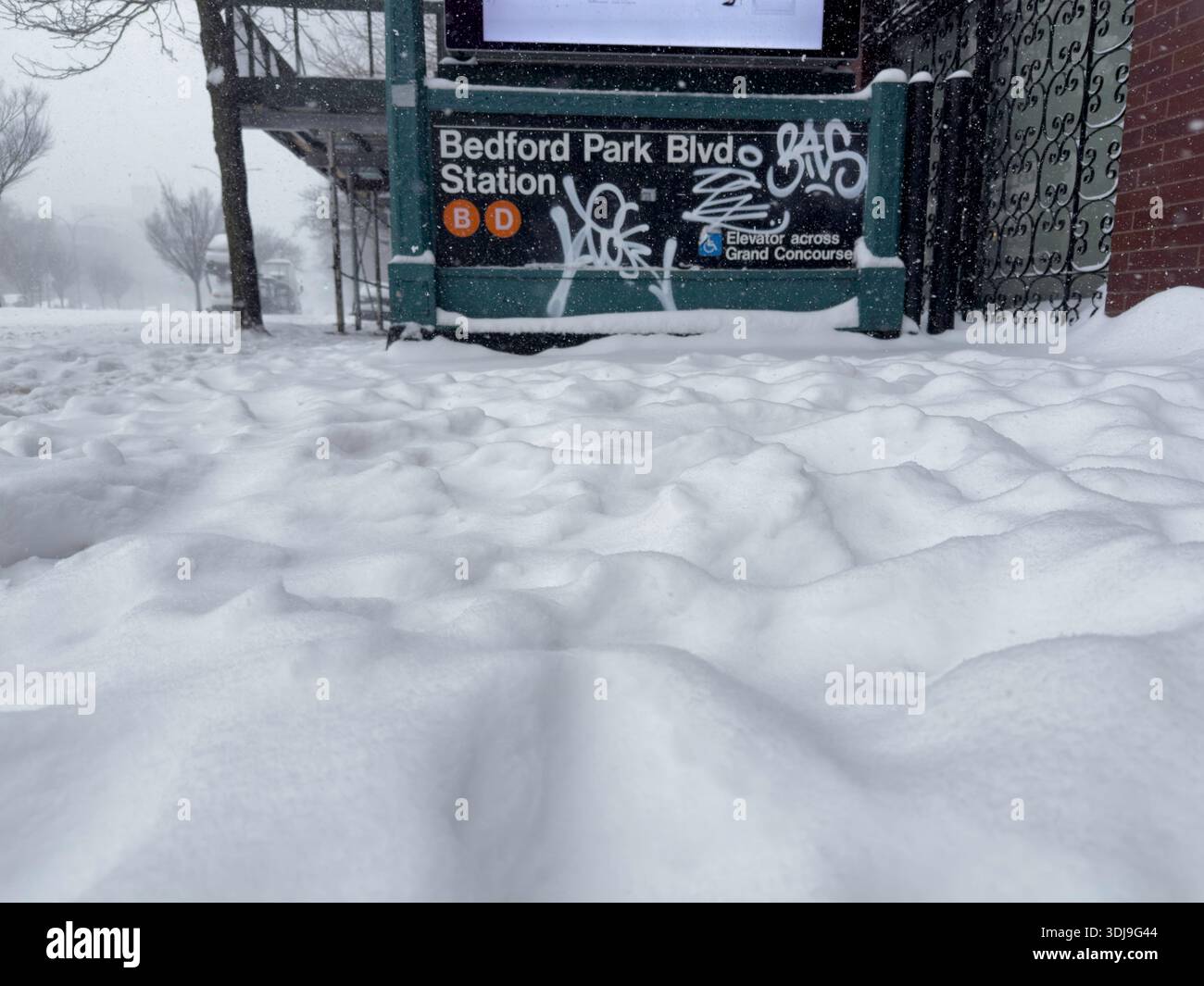 Winterstormfern hi-res stock photography and images - Alamy