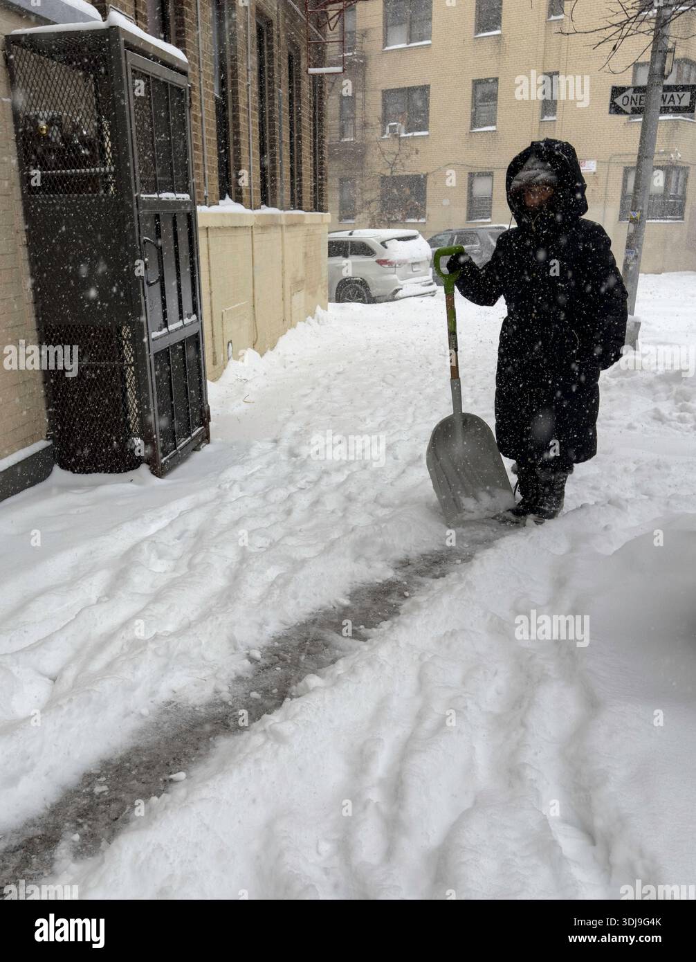 Winterstormfern hi-res stock photography and images - Alamy