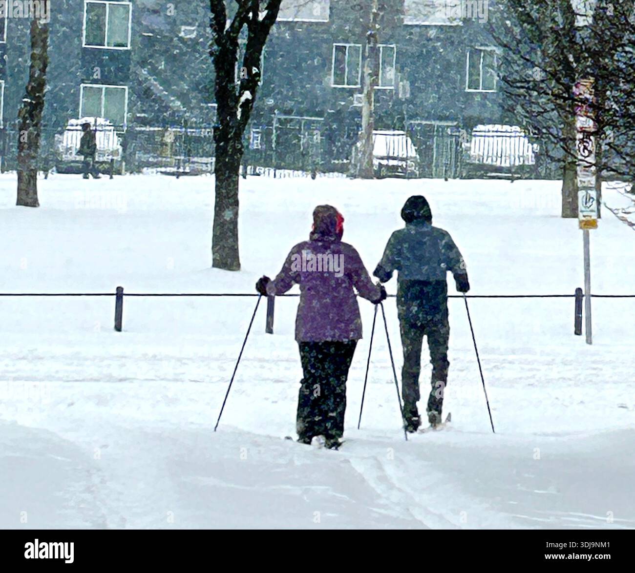A couple makes their way through the snow using cross country ski on ...