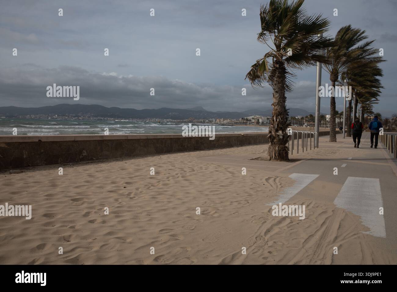 25 January 2026, Spain, Palma: The wind blows the sand from the beach ...