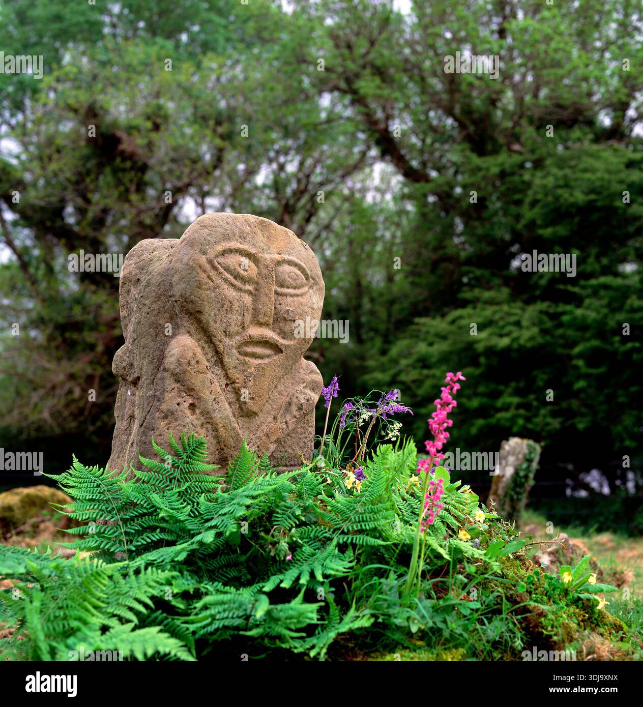 Boa island co fermanagh hi-res stock photography and images - Alamy