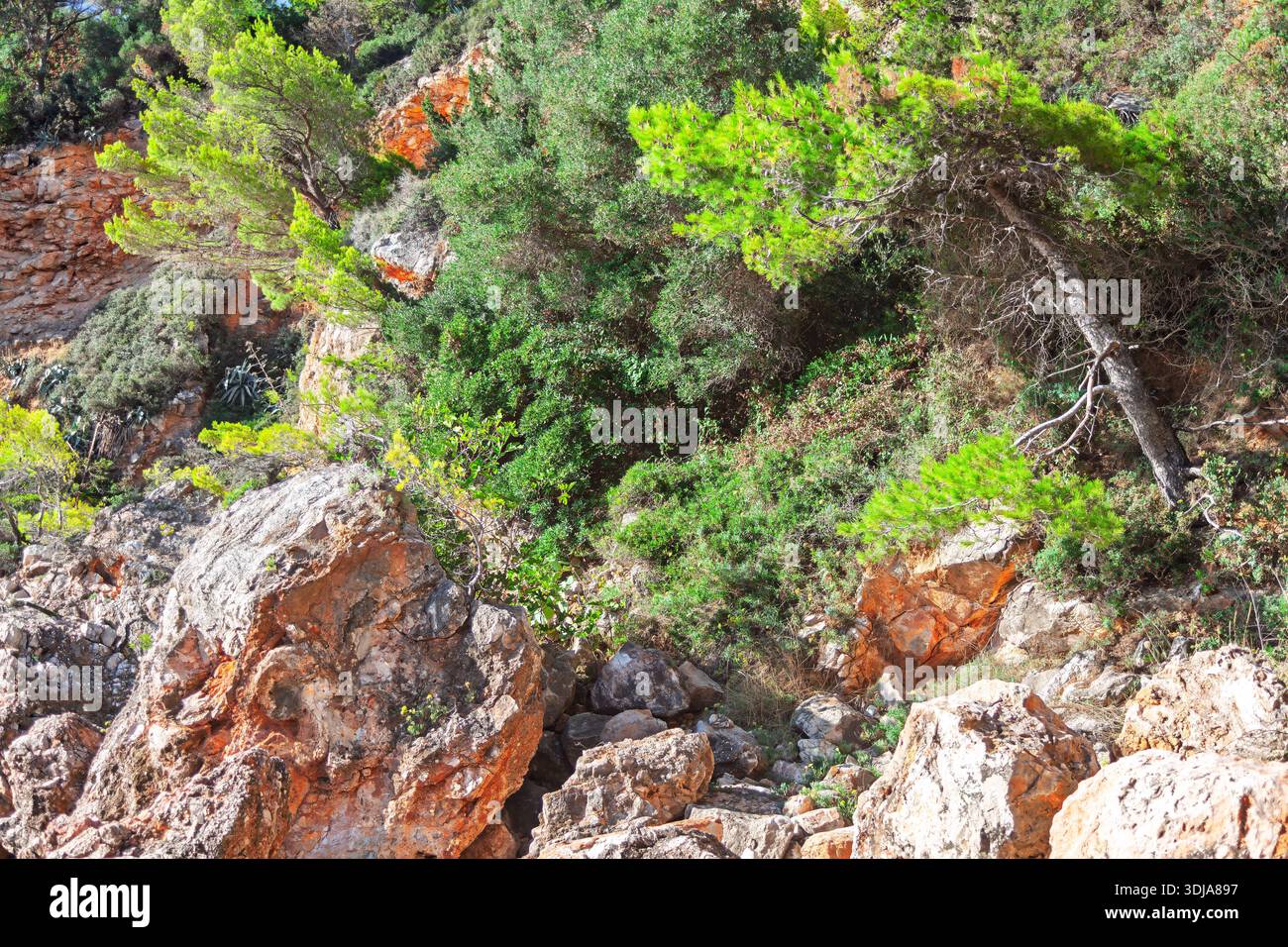 Rocky coastal landscape in Crete features large rocks. Lush green ...