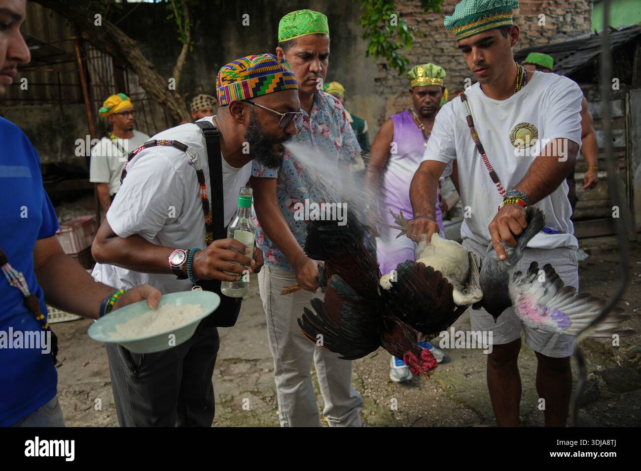 Santeria priests, also known as Babalawos, perform a cleansing ritual ...