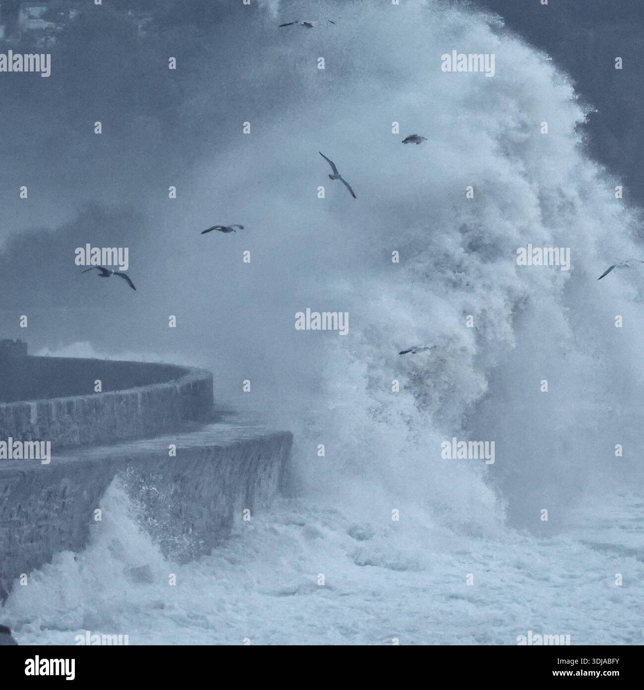 Huge waves and sea gulls as Storm Ingrid hits the sea wall protecting ...