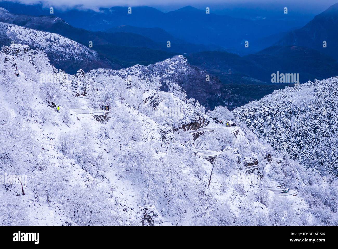 Gap, France. 25th Jan, 2026. 55 MCERLEAN Joshua (irl), TREACY Eoin (irl ...