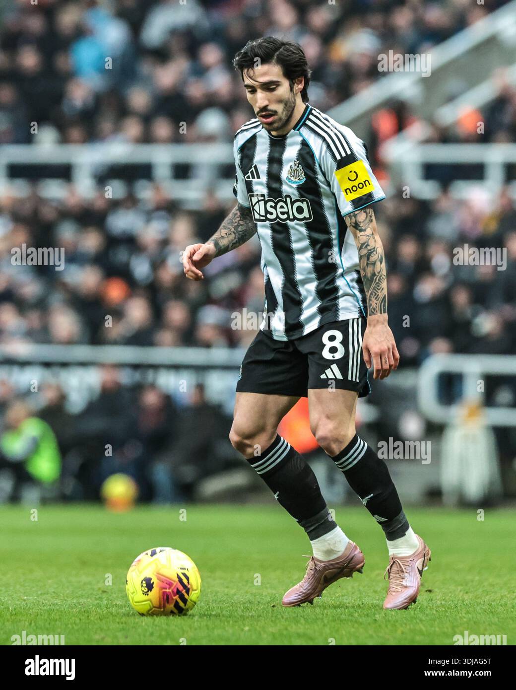 Sandro Tonali of Newcastle United during the Premier League match ...