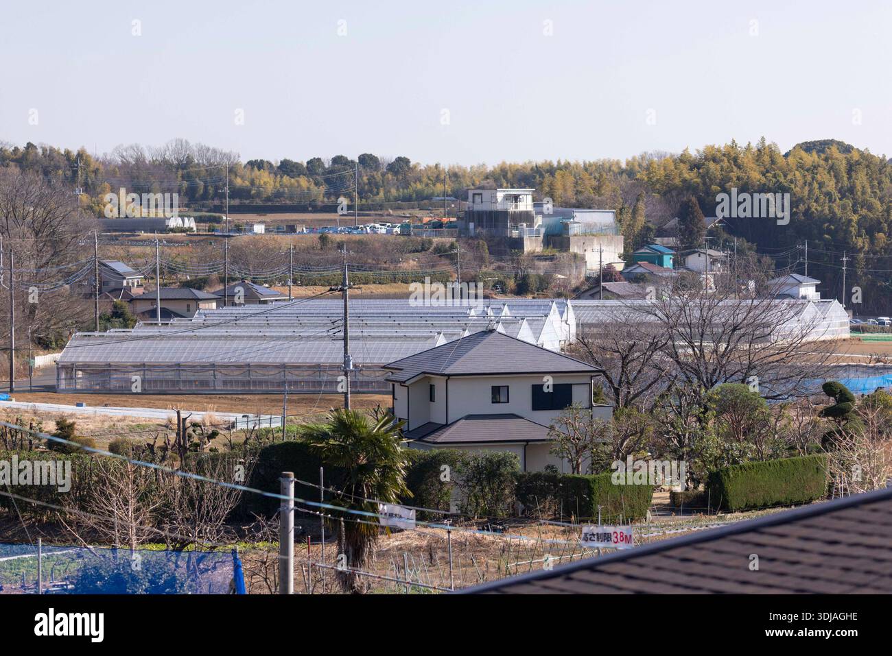 Greenhouses inside an agricultural area in Yokohama, Kanagawa ...