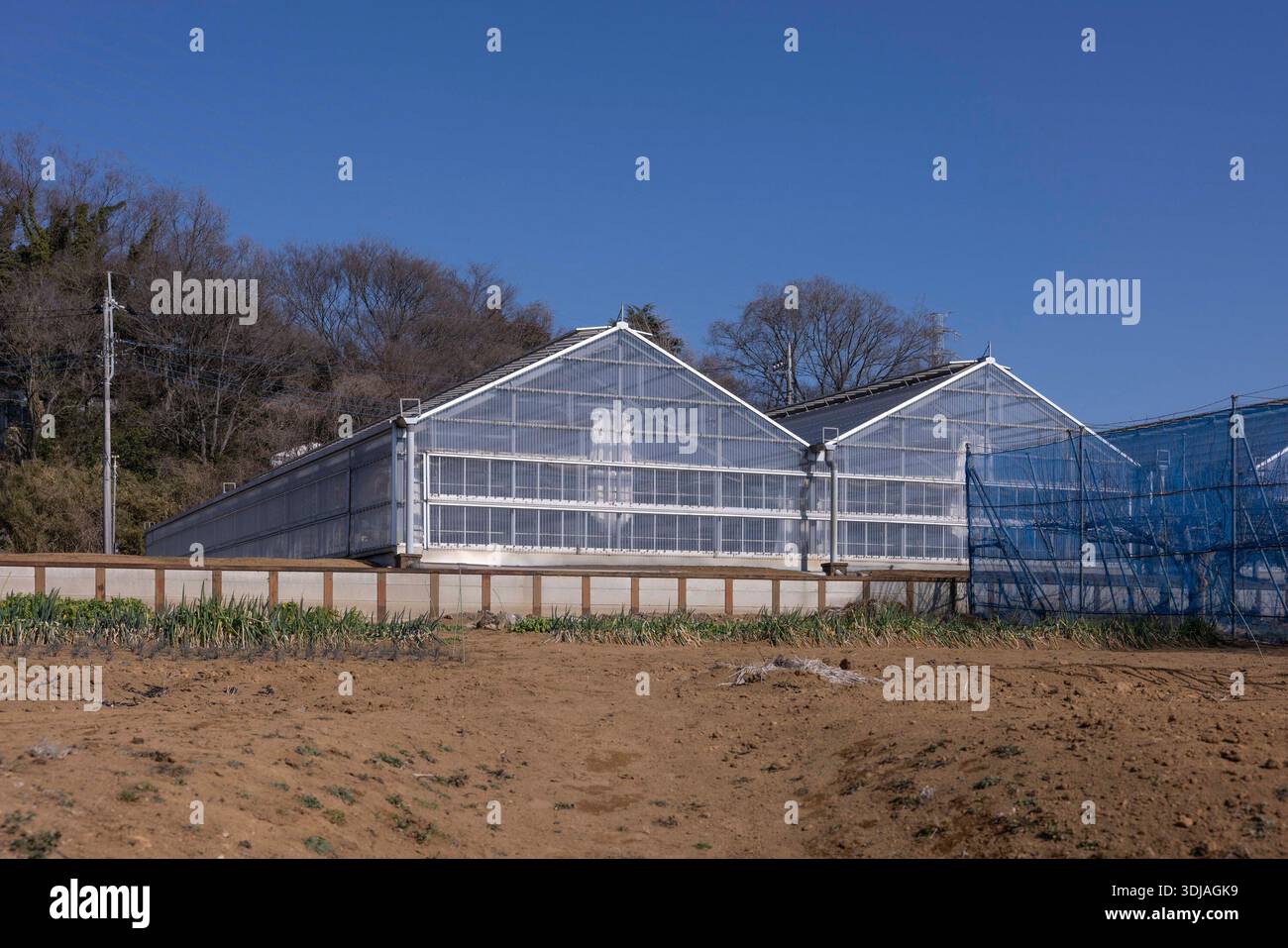 Greenhouses inside an agricultural area in Yokohama, Kanagawa ...