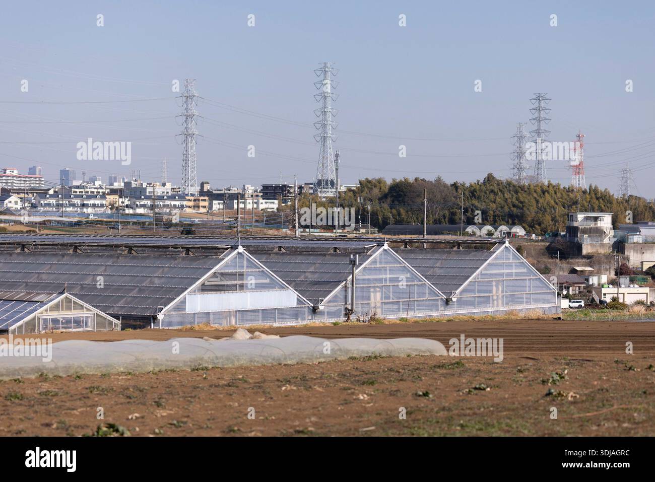 Greenhouses inside an agricultural area in Yokohama, Kanagawa ...
