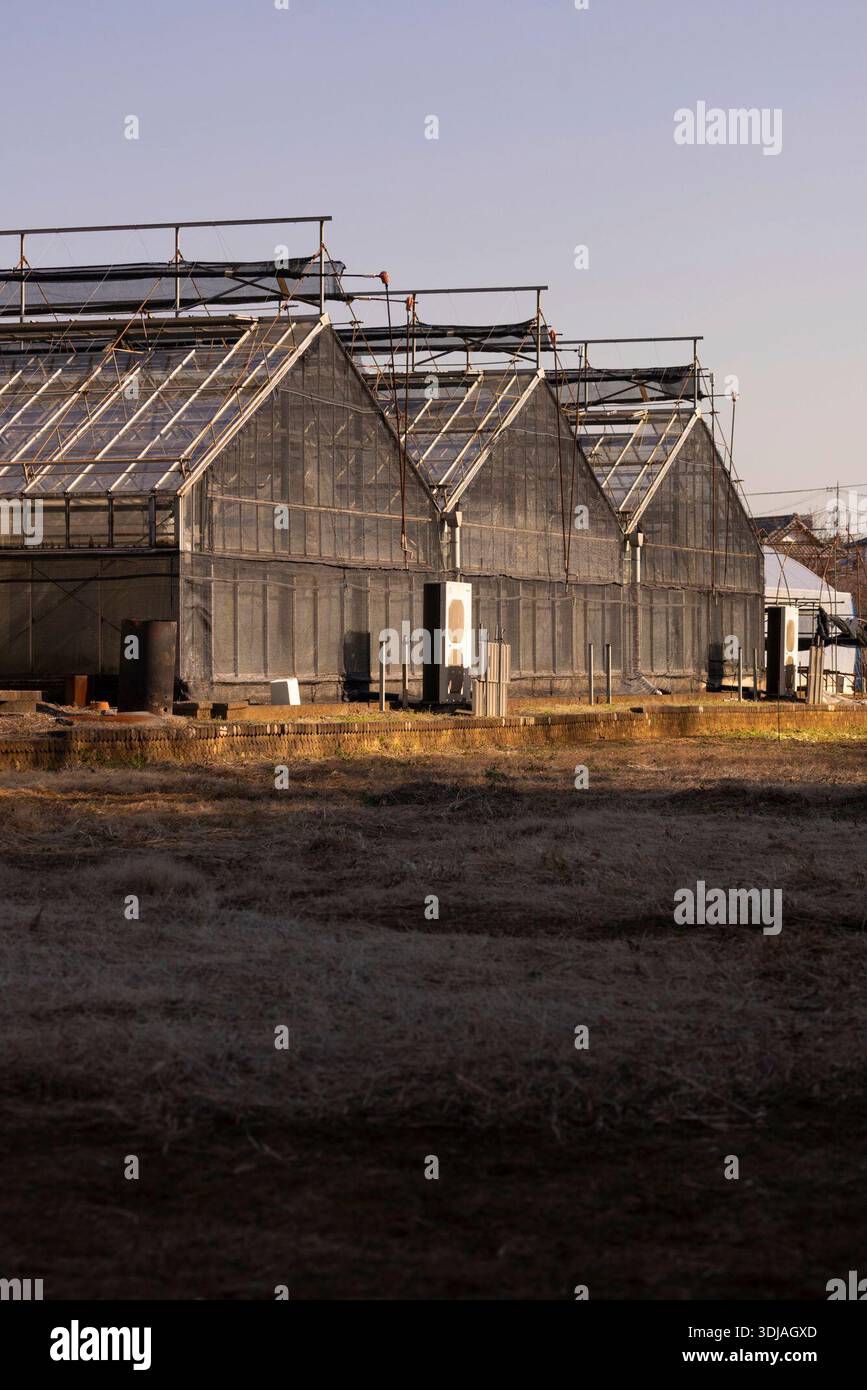 Greenhouses inside an agricultural area in Yokohama, Kanagawa ...
