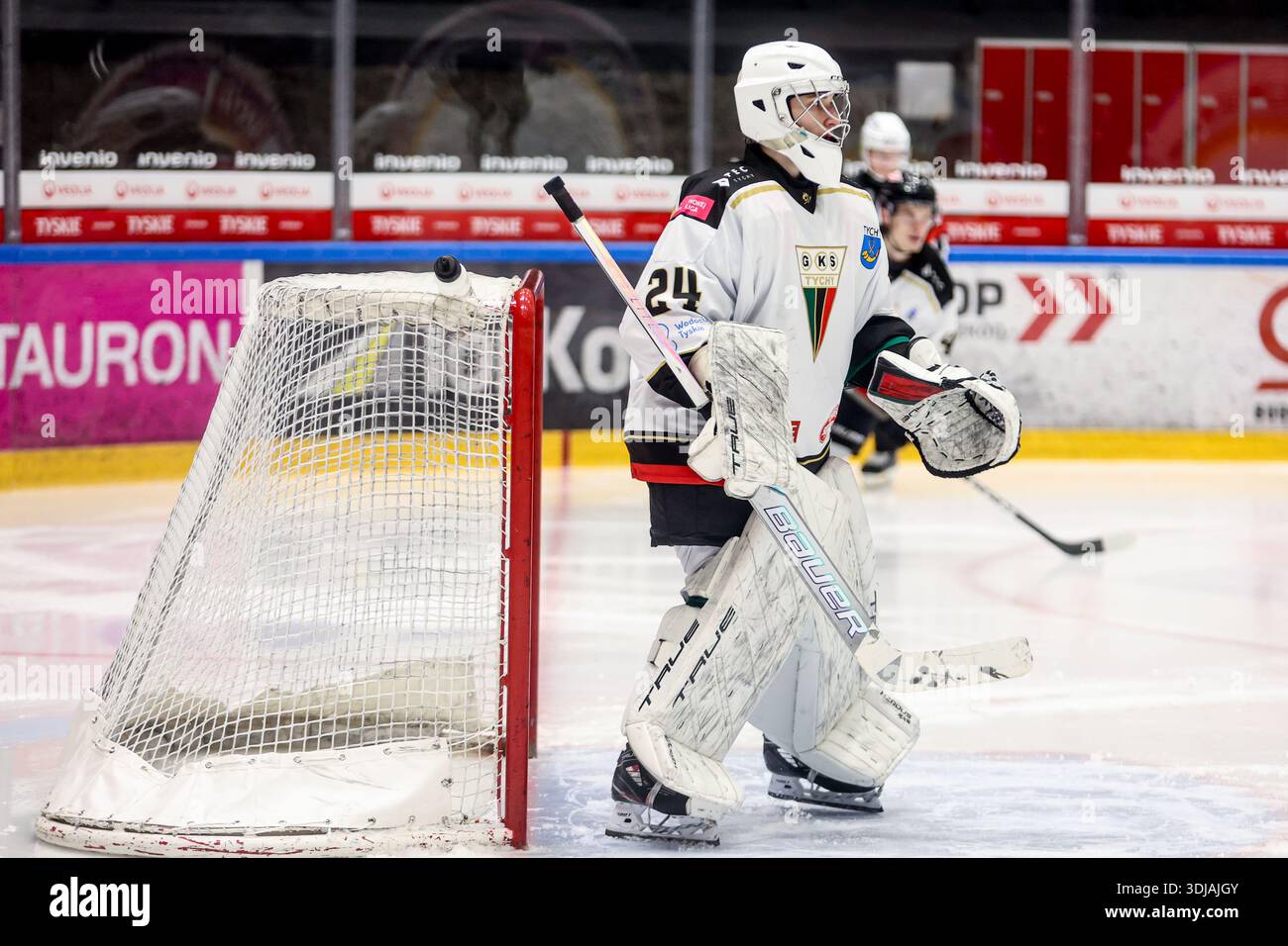 25.01.2026, Tychy Mecz Tauron Hokej Liga sezon 2025/26 GKS Tychy - STS ...