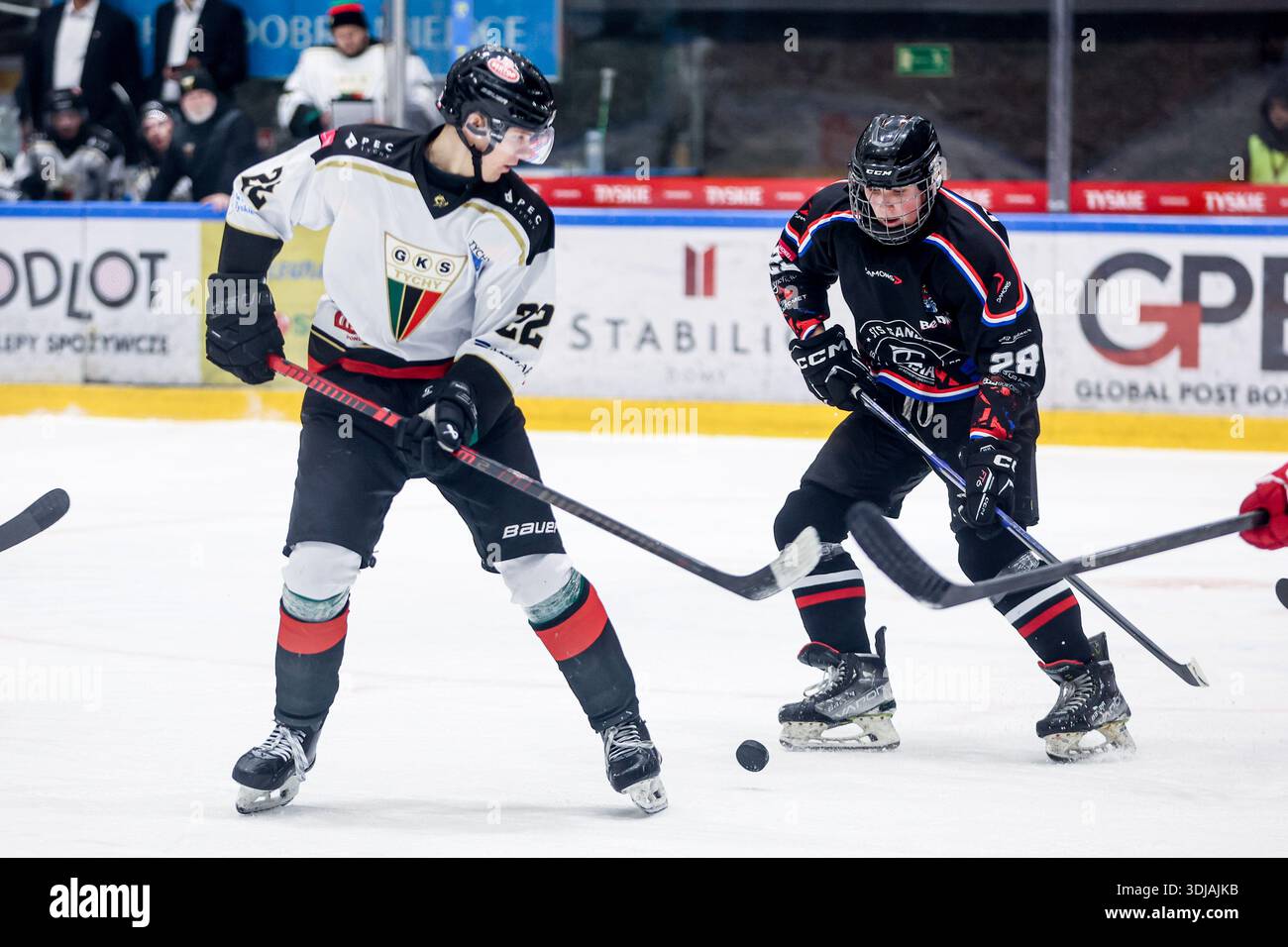 25.01.2026, Tychy Mecz Tauron Hokej Liga sezon 2025/26 GKS Tychy - STS ...