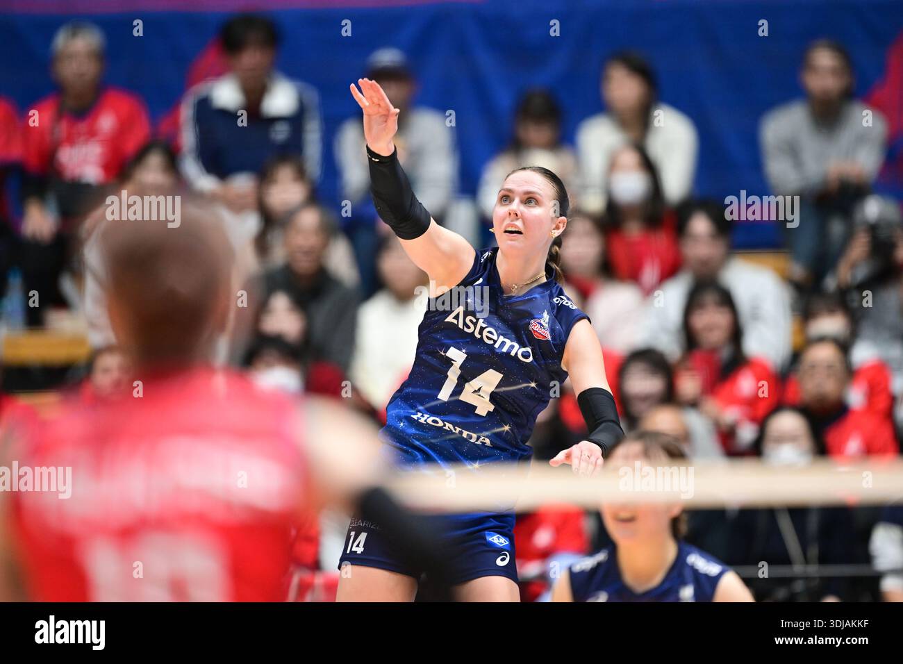 Mackenzie May (Astemo), JANUARY 24, 2026 - Volleyball : 2025-26 SV ...