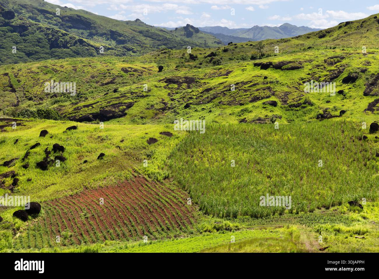 Cultivated plots and grassy hills form a rural landscape within ...