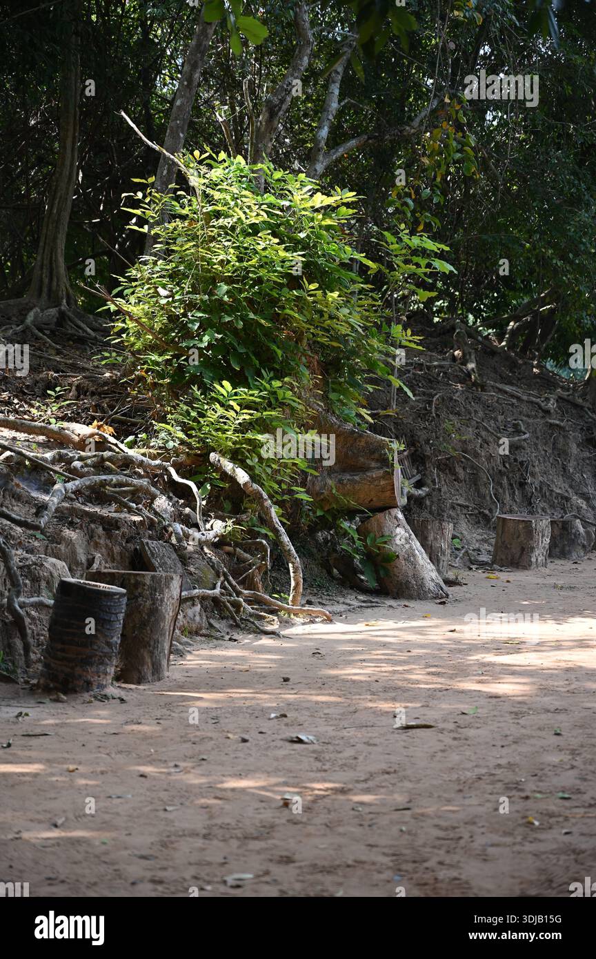 The ruins of Neak Plan (Pean) Temple Stock Photo - Alamy
