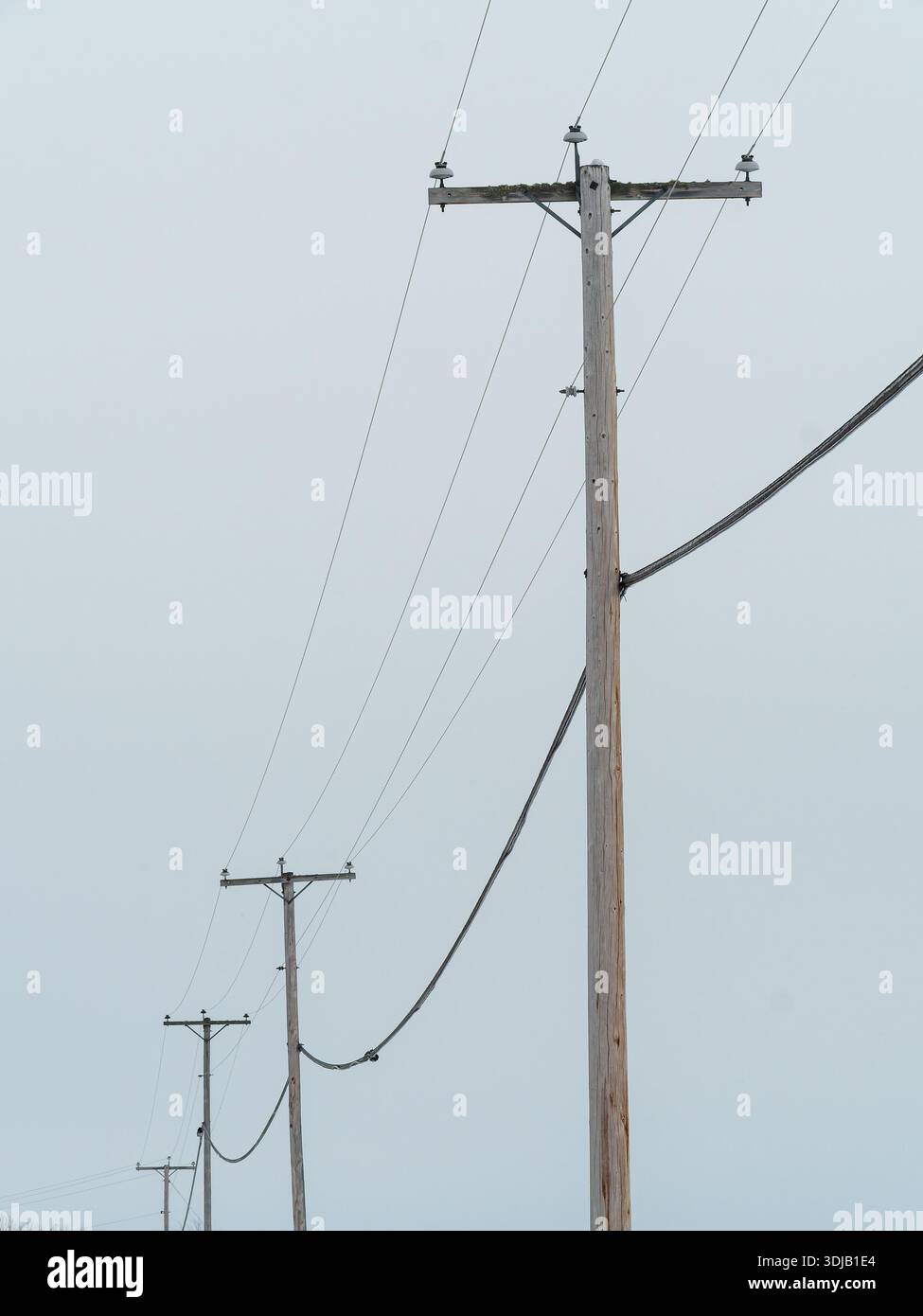 Row electricity poles lines hi-res stock photography and images - Alamy