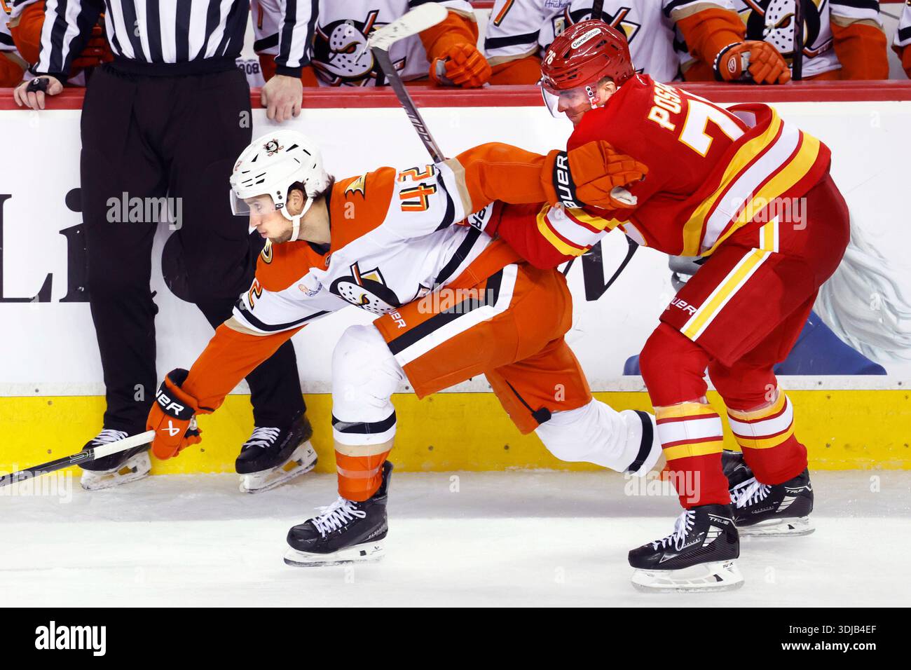 Anaheim Ducks' Tim Washe (42) battles against Calgary Flames' Martin ...