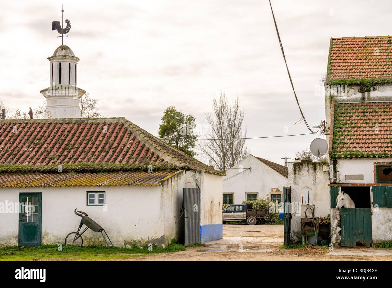 Barroca de Alva Lisbon Portugal November 19 2025. Rural farmyard with ...