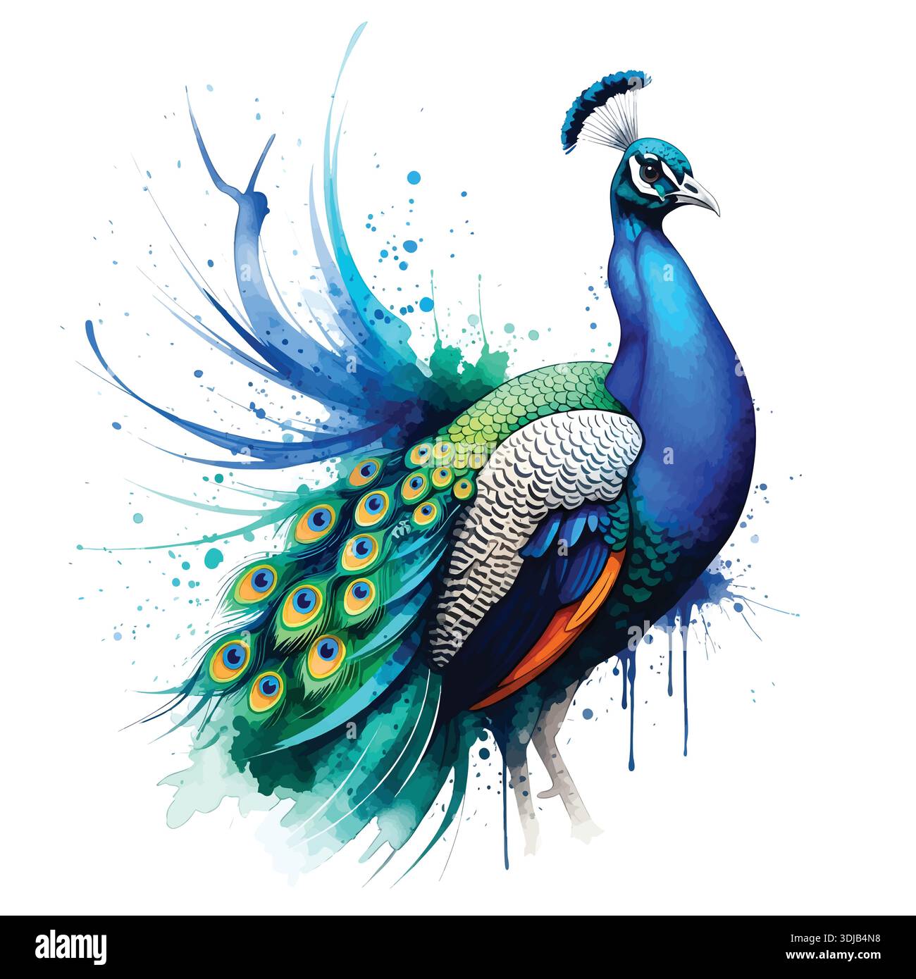 Colorful Peacock Illustration with Artistic Watercolor Paint Splatters ...