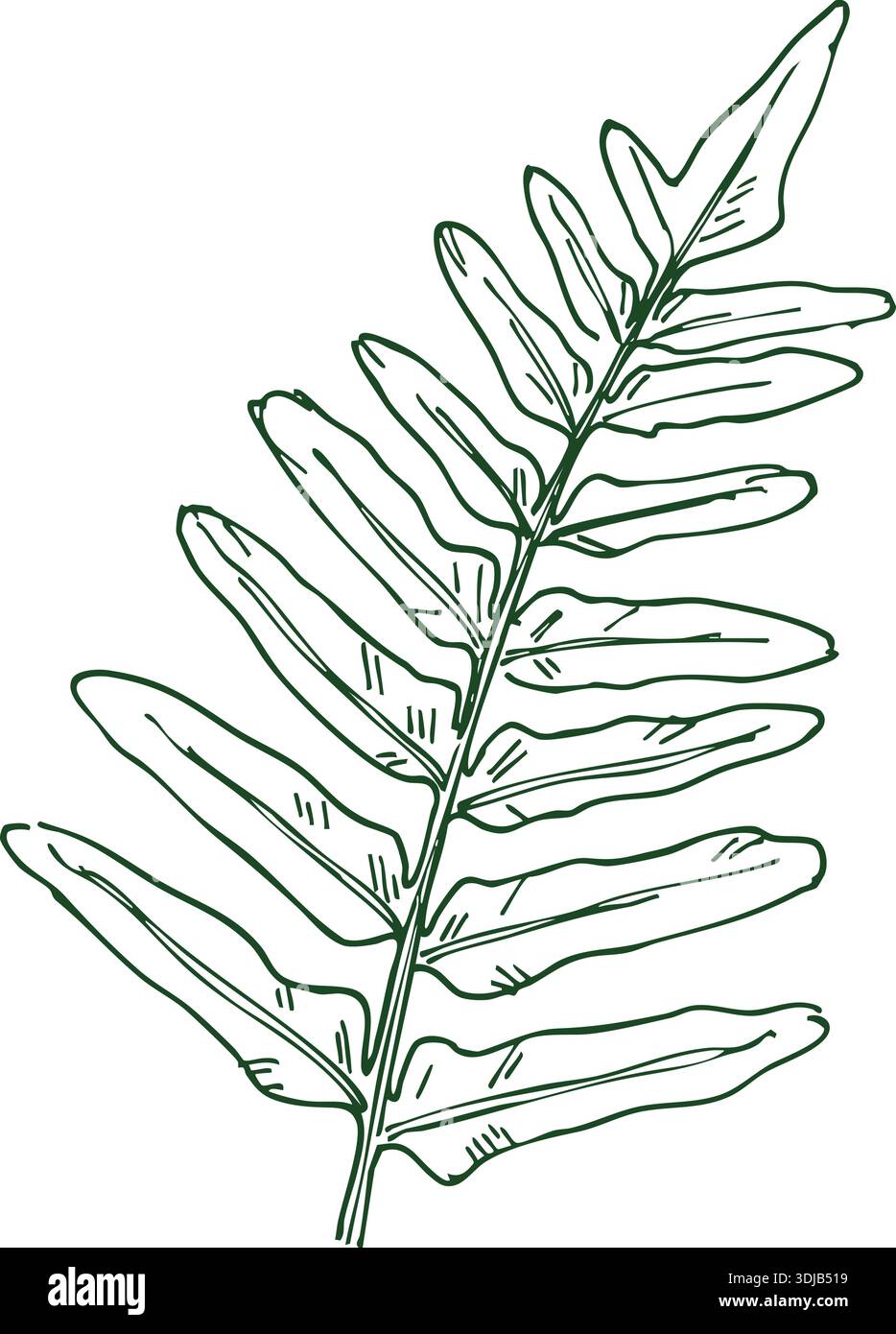 Plantdesign Stock Vector Images - Alamy