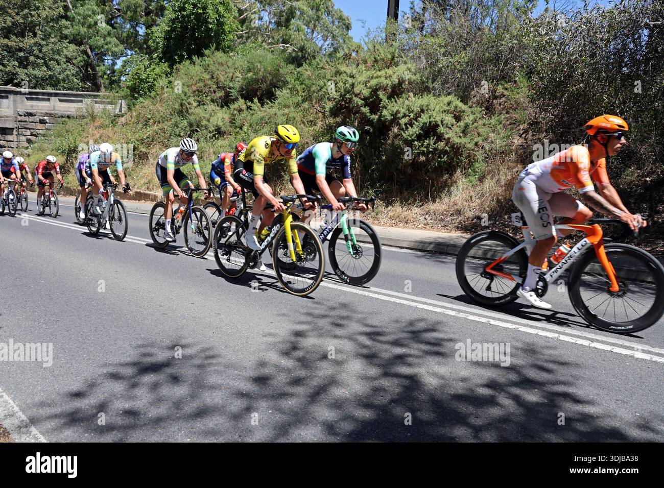 Riders passing through the Adelaide Hills town of Aldgate during stage ...