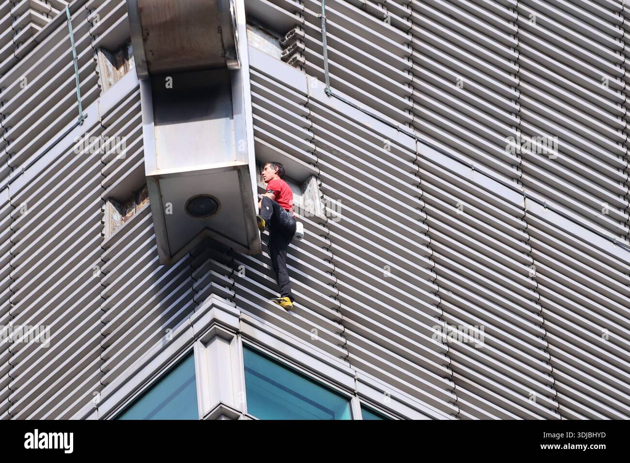 TAIPEI, CHINA - JANUARY 25, 2026 - American climber Alex Honnold climbs ...