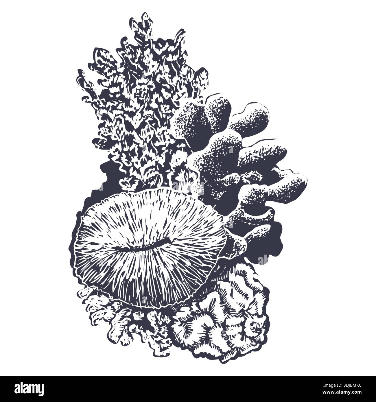 Coral reef vertical ink vector illustration. Realistic and detailed ...