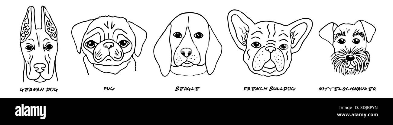 Doodle heads of different breeds dogs set Stock Vector Image & Art - Alamy