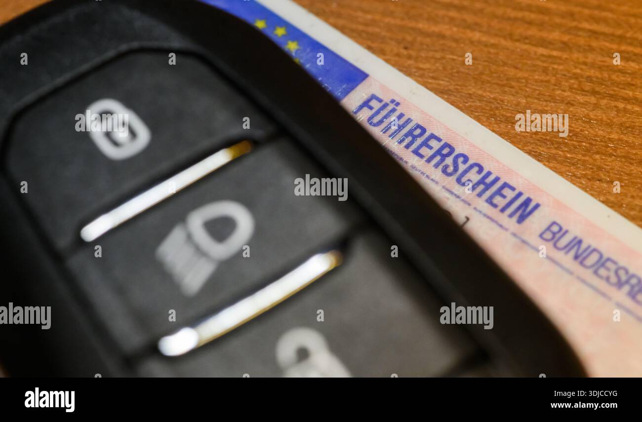 ILLUSTRATION - 26 January 2026, Saxony, Dresden: A driver's license ...