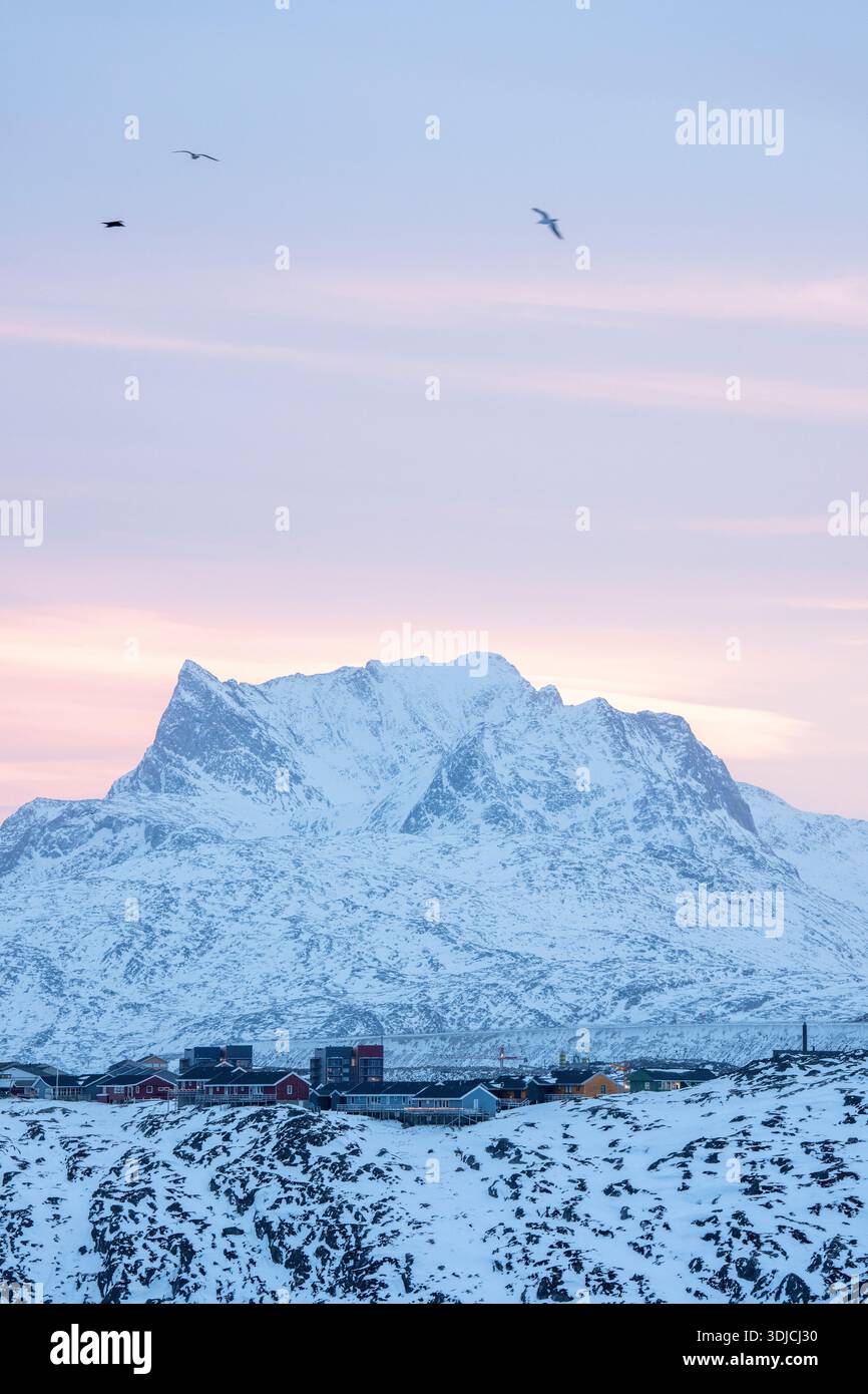 Nuuk, Greenland 20260124. Greenland's capital Nuuk on Saturday 24 ...