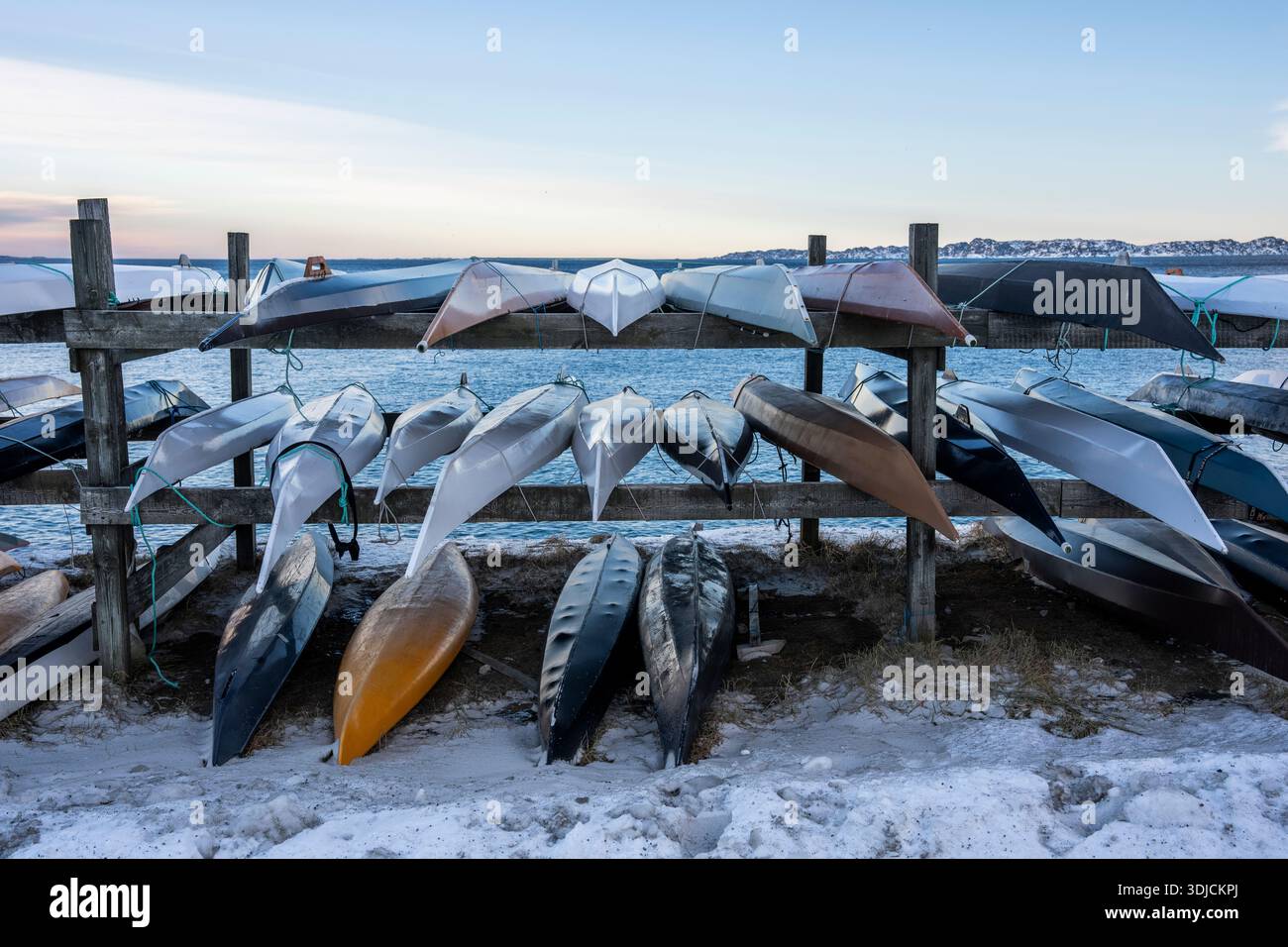 Nuuk, Greenland 20260125. Kayakers at Gamle Nuuk in Greenland's capital ...
