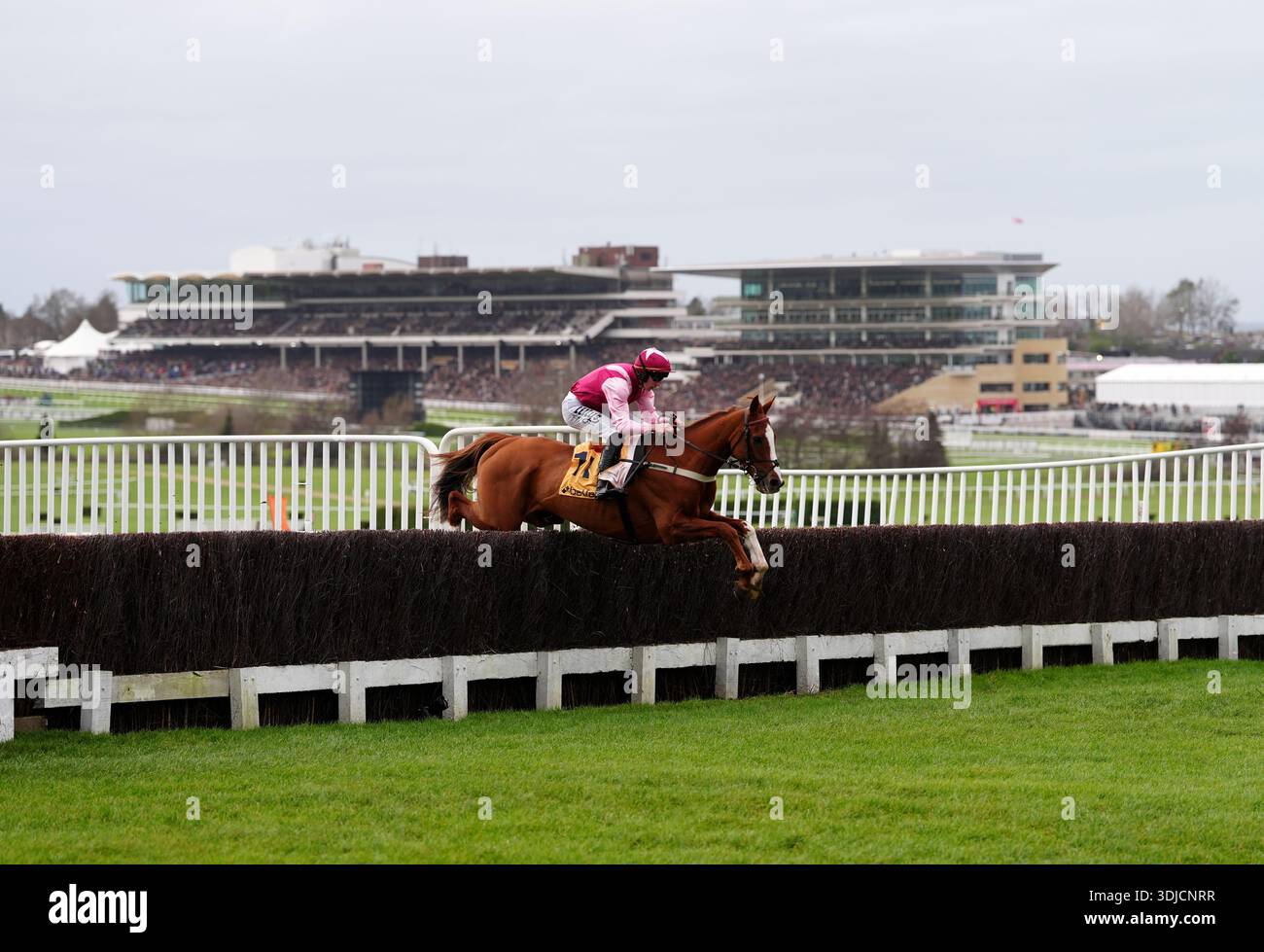 Javert Allen ridden by Ciaran Gethings in the Betfair Exchange Handicap ...