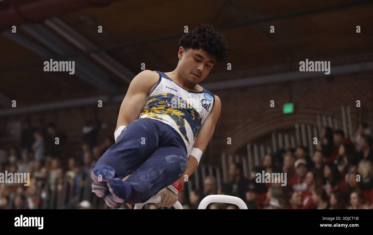 California gymnast Jasper Smith-Gordon competes on the pommel horse ...