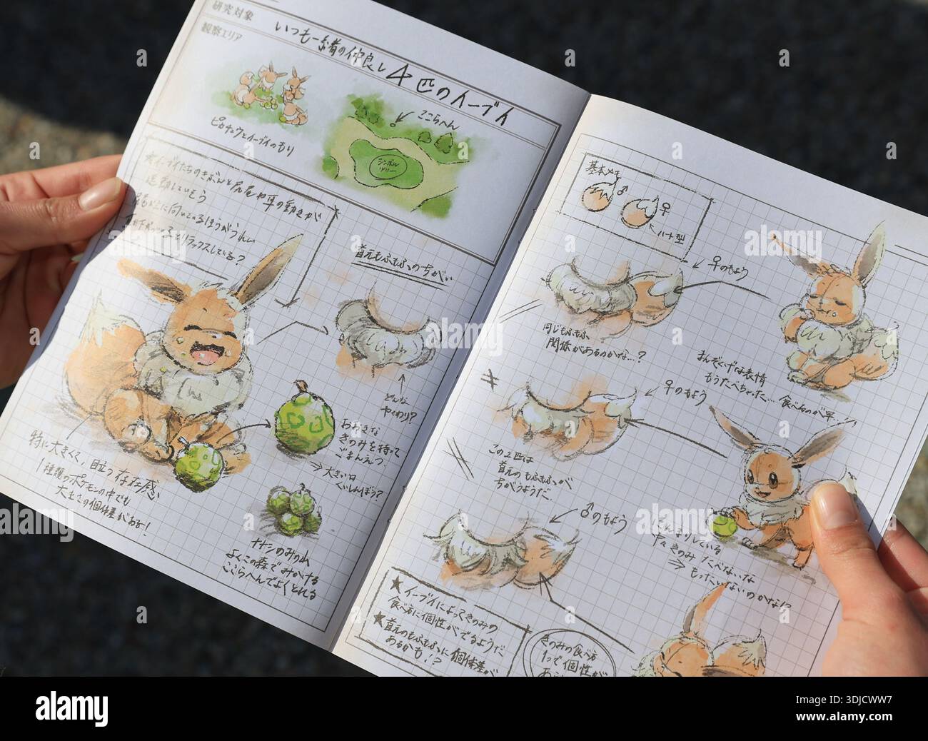 A photo shows the Research notes received at Pokémon Research Lab ...