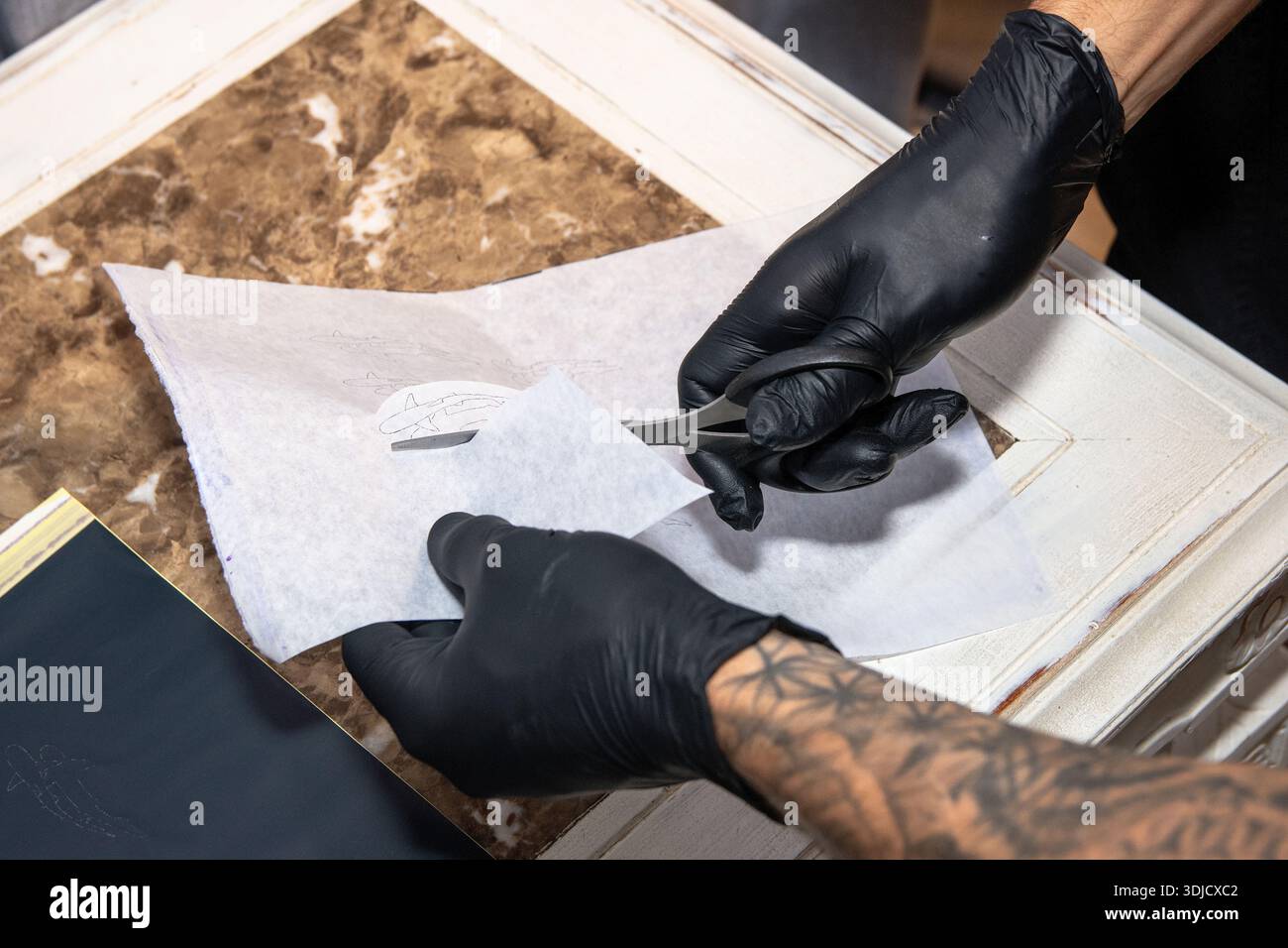 Tattoo artist wearing black gloves cutting a stencil paper with a shark ...