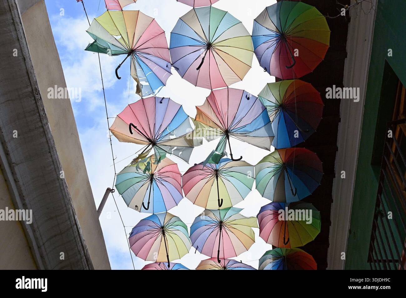Genre photography. Rainbow-colored umbrellas hang over the street ...