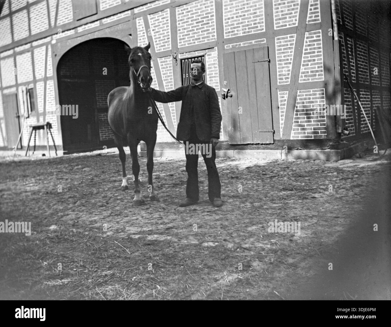Man with horse posing for the photo, farm, ca. 1920-1930, retro ...