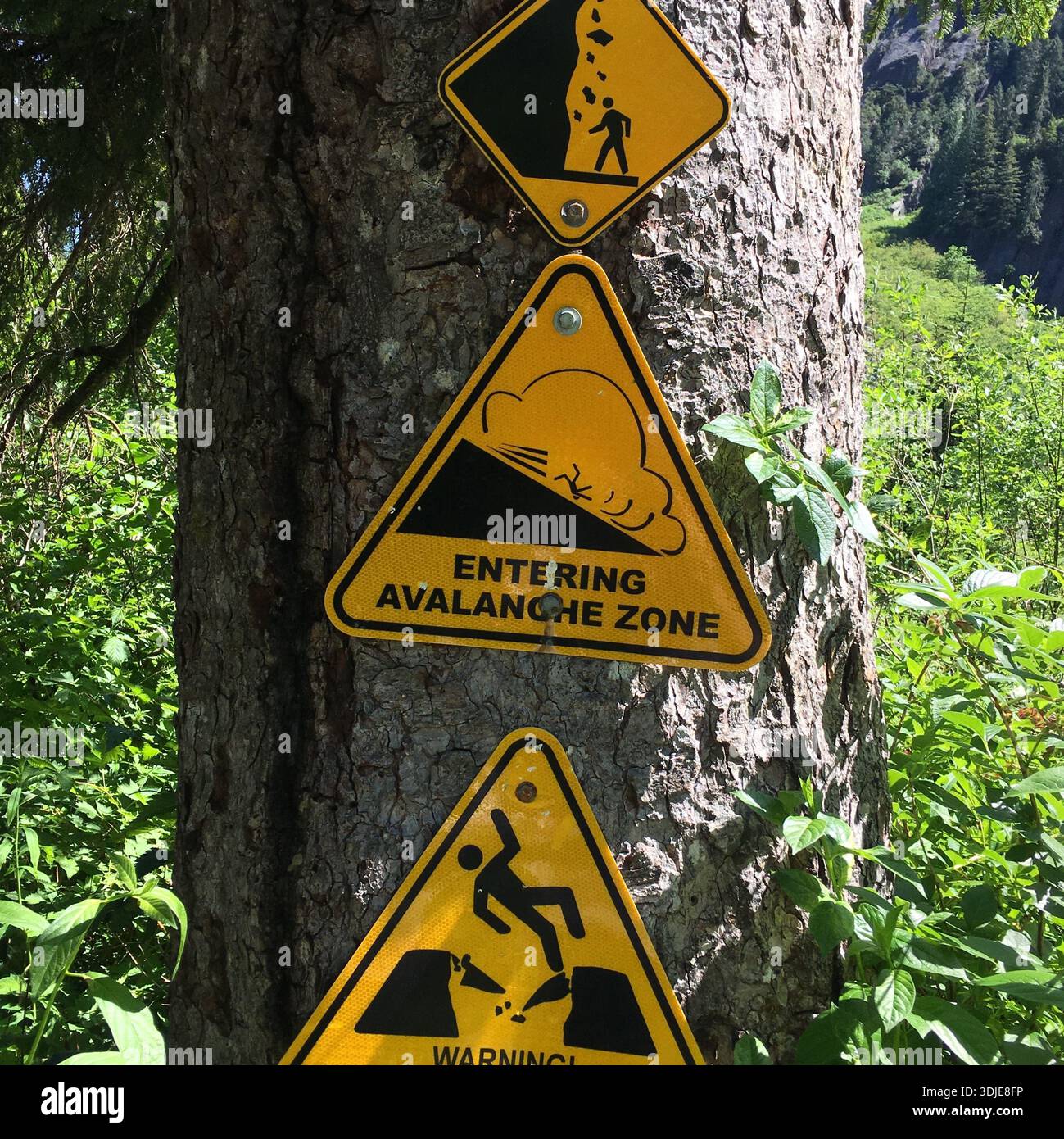 Avalanche warning signs at Granite Falls, Washington state, USA Stock ...
