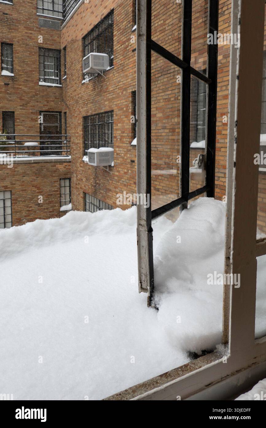 Winter Storm Fern dumped eight inches of snow on Midtown Manhattan, 25 ...