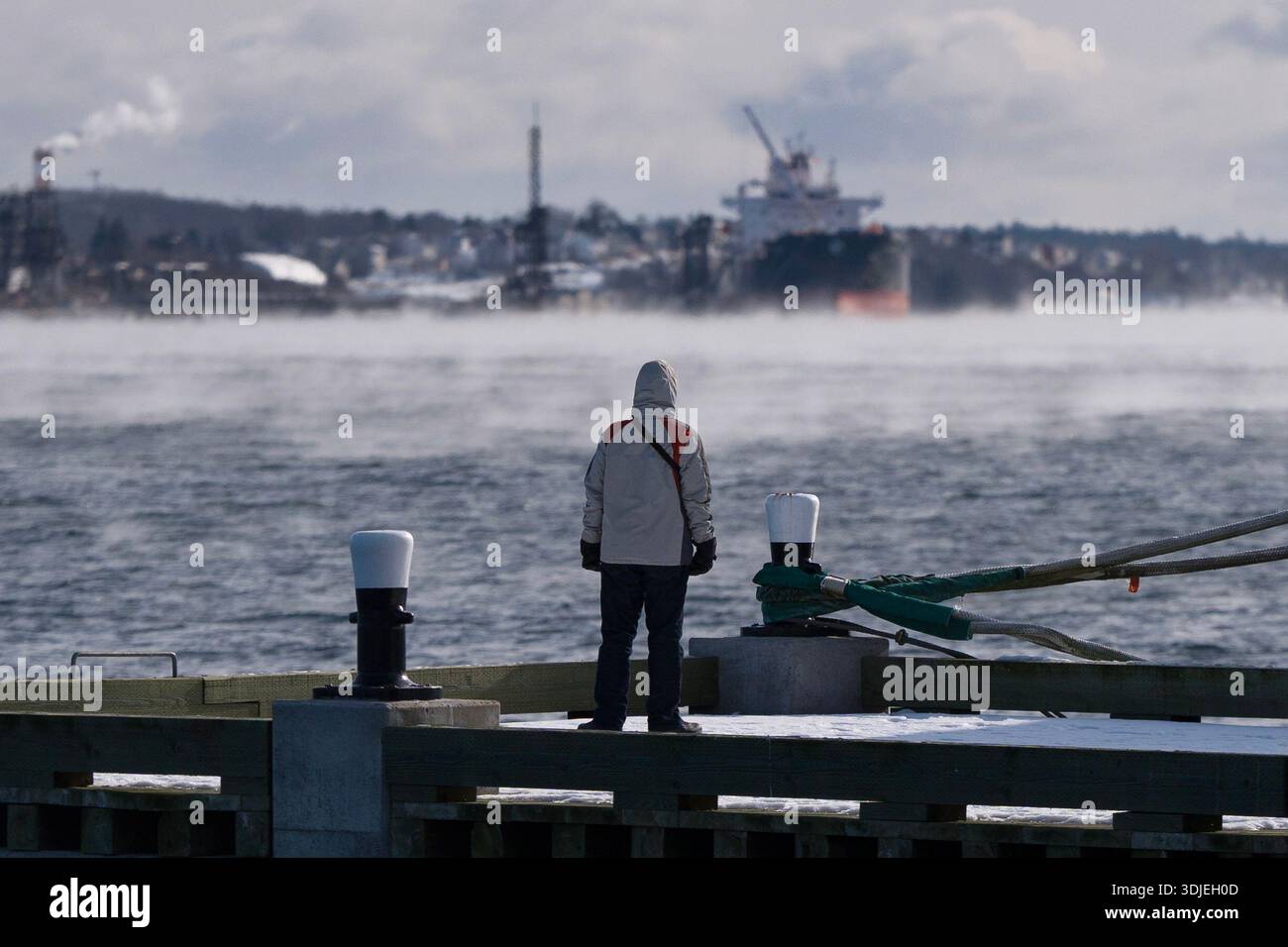 A person stands on the waterfront as sea smoke, or ice fog, forms in ...