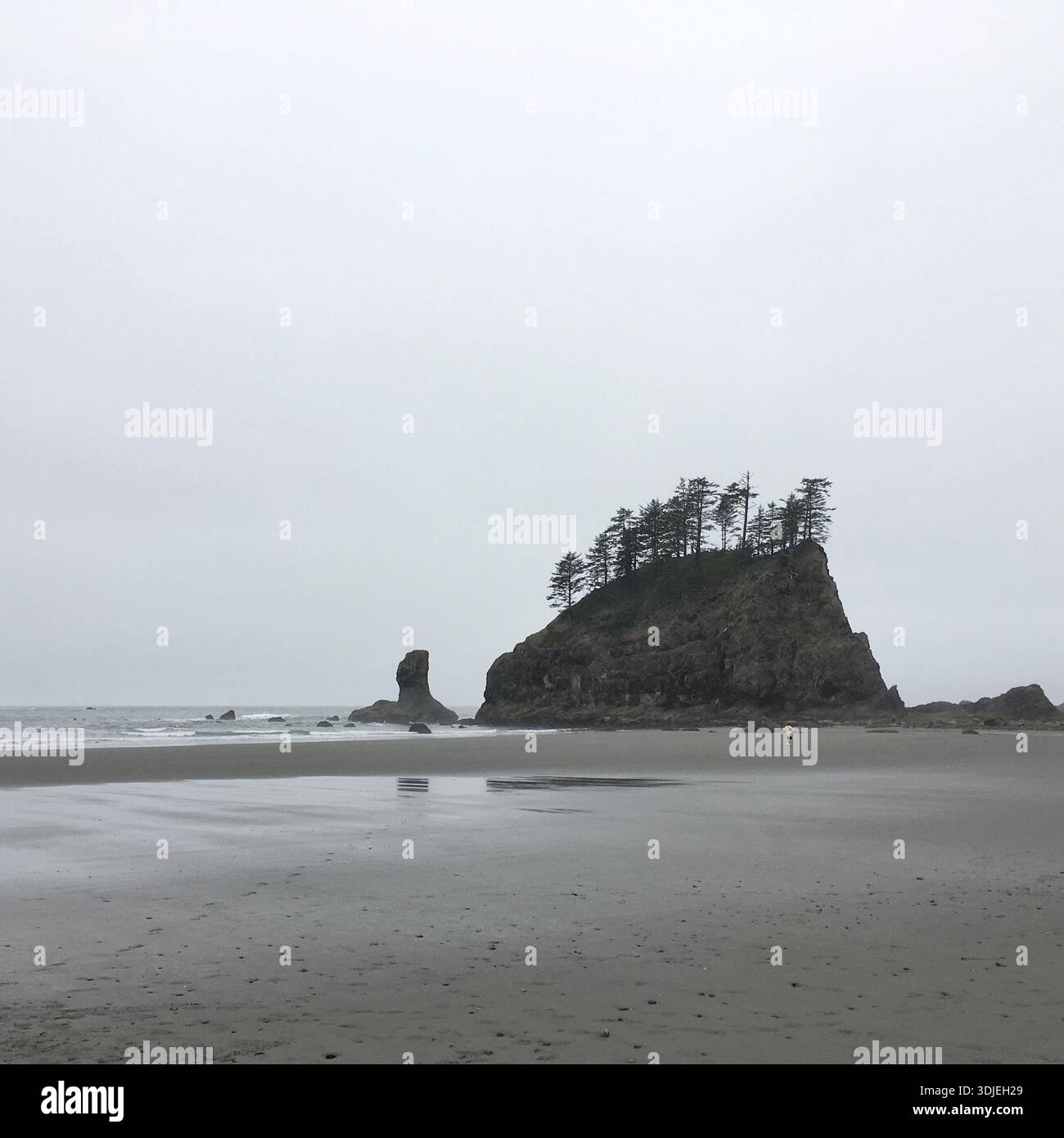 Sea stacks at Second Beach, Forks, Washington State, USA Stock Photo ...