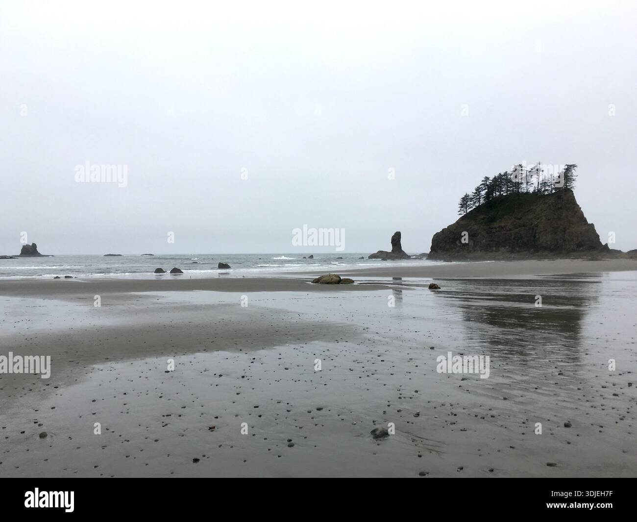 Sea stacks at Second Beach, Forks, Washington State, USA Stock Photo ...