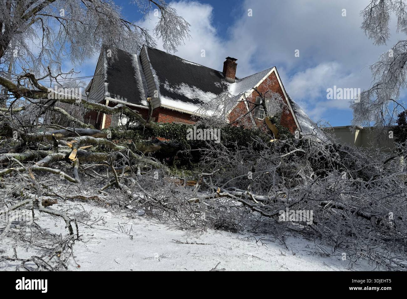 A tree downed by ice rests in a front yard just feet from a house in ...